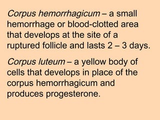 Animal reproduction class presentation (ppt) | PPT