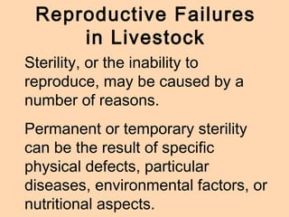 Animal reproduction class presentation (ppt) | PPT