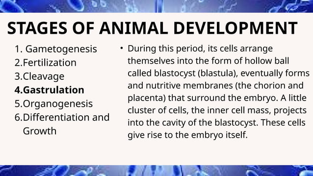 Animal Reproduction and Development.pptx