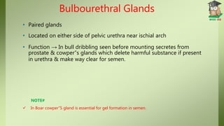 Animal reproduction lecture 2 | PPT