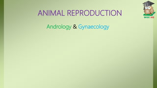 Animal reproduction lecture 2 | PPT