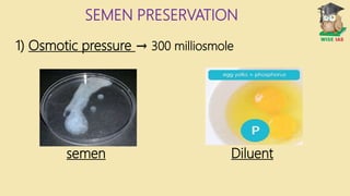 Animal reproduction lecture - 3 | PPTX