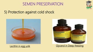 Animal reproduction lecture - 3 | PPTX