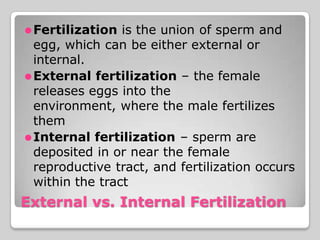 animalreproductionppt-102114905-phpapp01 (1).pptx
