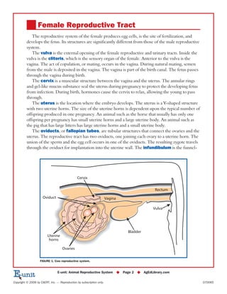 Animal reproductive anatomy | PDF