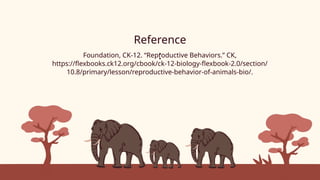 Animal Reproductive Behaviors Quiz Presentation in Maroon Brown Flat ...