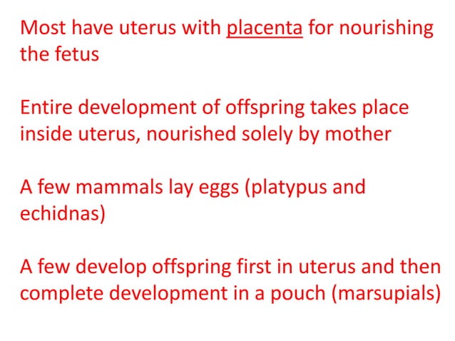 Animal reproductive system | PPTX