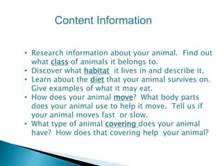 Animal research project | PPTX