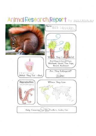 Animal research report | PDF