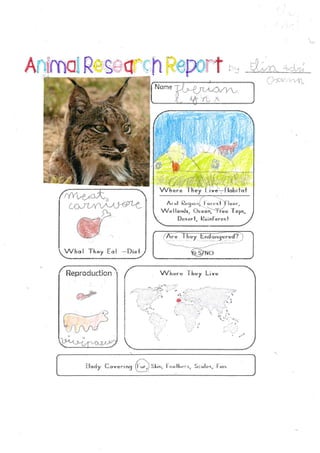 Animal research report | PDF