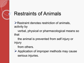 Animal retraining | PPTX