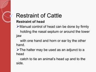 Animal retraining | PPTX