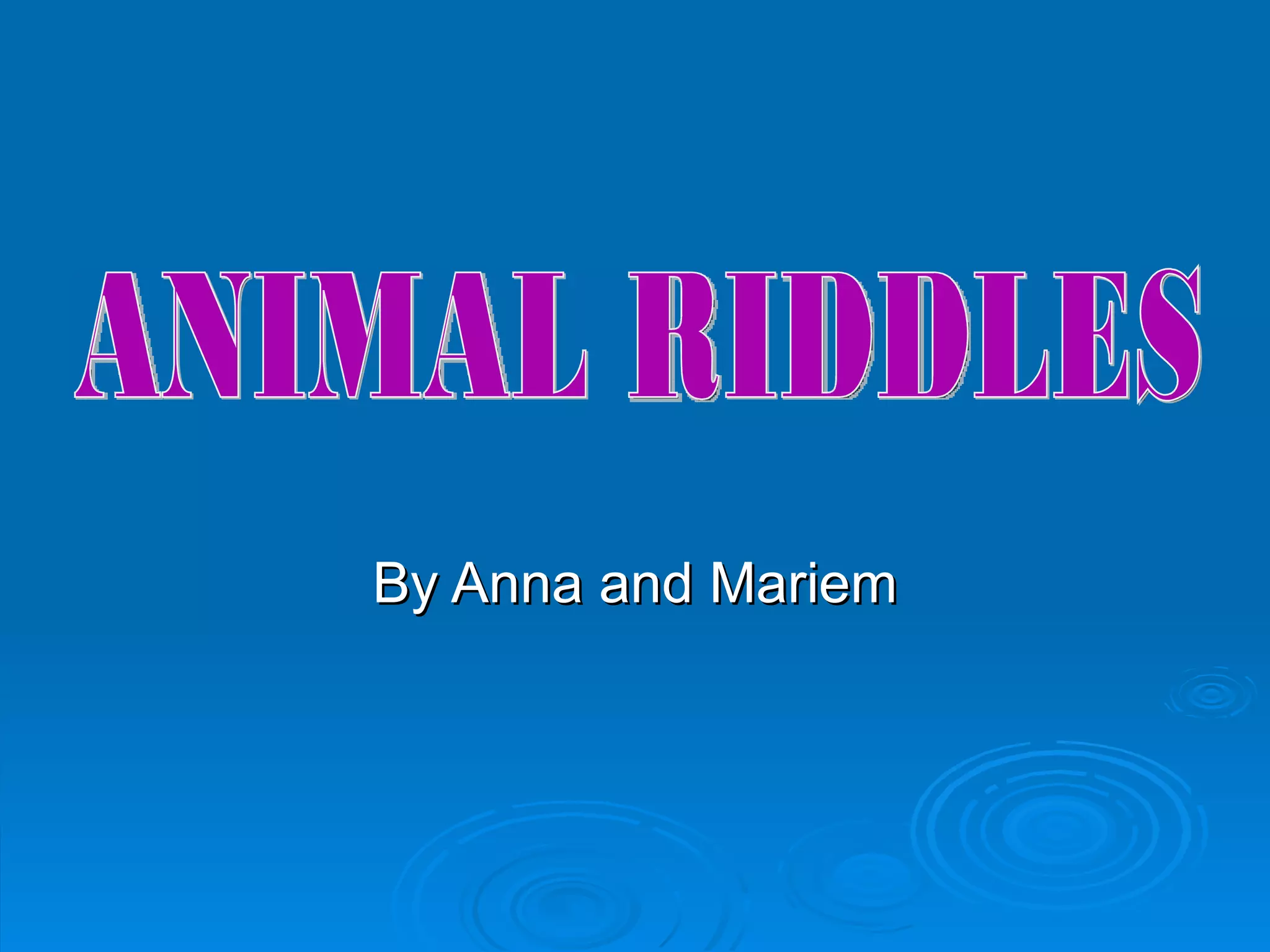 Animal riddles by Anna and Mariem | PPT