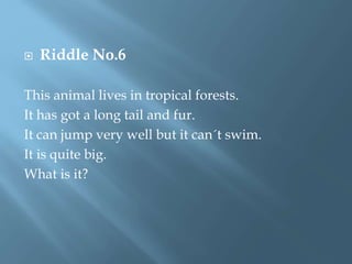 Animal riddles | PPTX