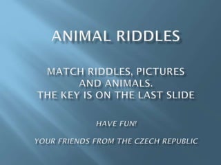 Animal riddles | PPT
