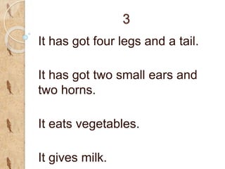 Animal Riddles | PPT