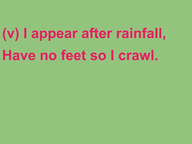 Animal Riddles Class 3 EVS old NCERT Book | PPT