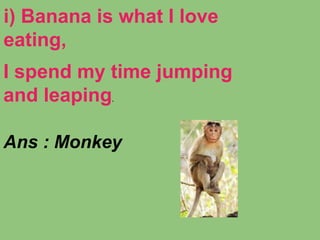 Animal Riddles Class 3 EVS old NCERT Book | PPT