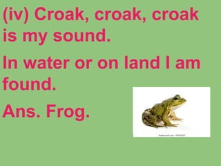 Animal Riddles Class 3 EVS old NCERT Book | PPT