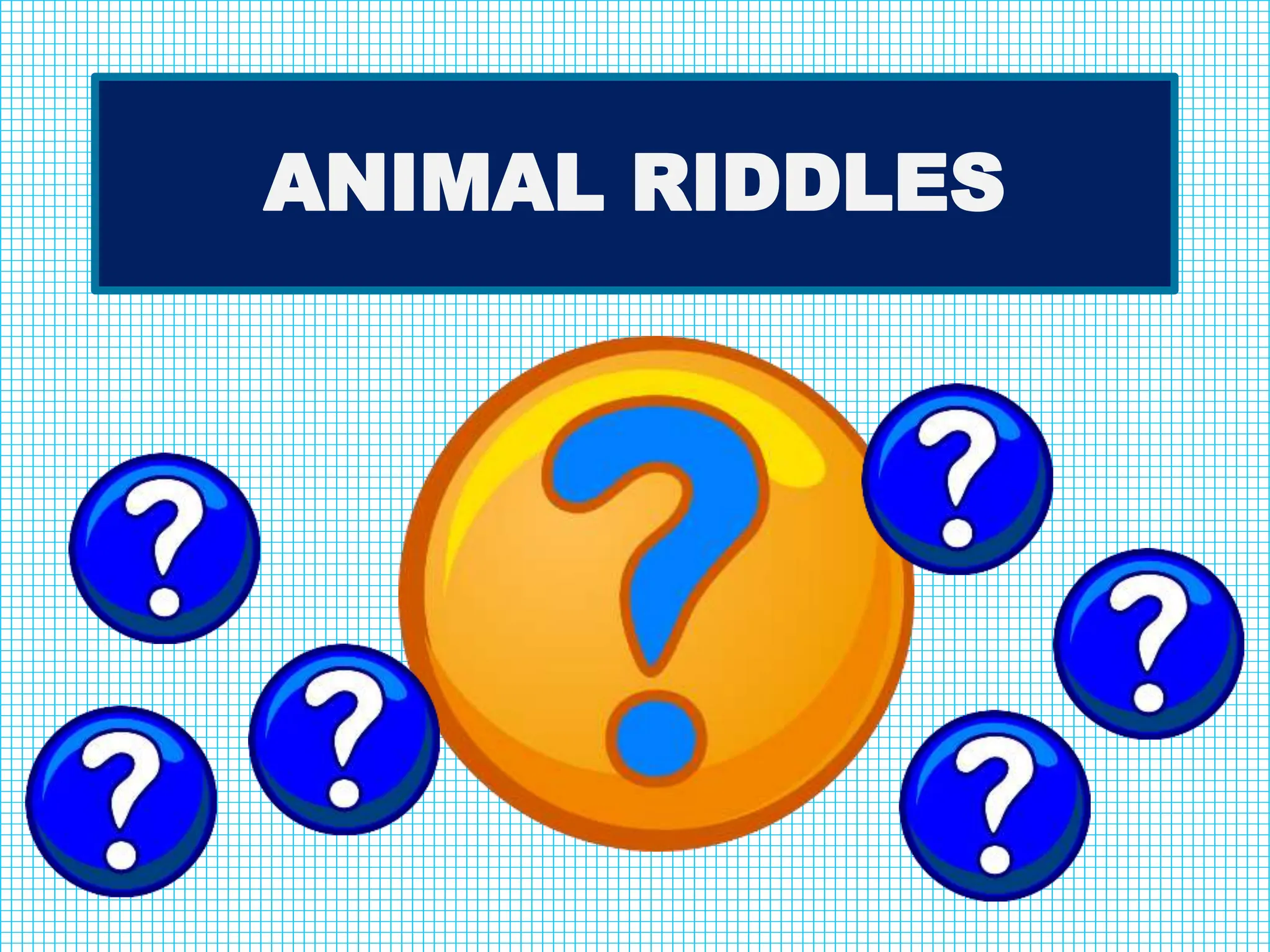 INTRO ANIMAL RIDDLES - GREAT ICEBREAKER FOR YOUR CLASS | PPT | Birds | Pets