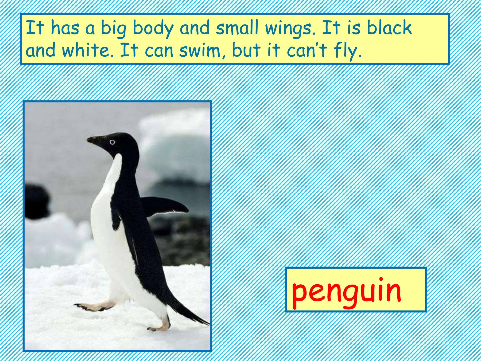 INTRO ANIMAL RIDDLES - GREAT ICEBREAKER FOR YOUR CLASS | PPT