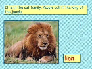 INTRO ANIMAL RIDDLES - GREAT ICEBREAKER FOR YOUR CLASS | PPT | Birds | Pets