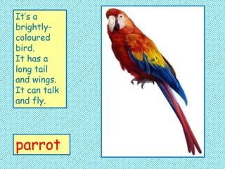 INTRO ANIMAL RIDDLES - GREAT ICEBREAKER FOR YOUR CLASS | PPT