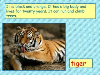 INTRO ANIMAL RIDDLES - GREAT ICEBREAKER FOR YOUR CLASS | PPT | Birds | Pets