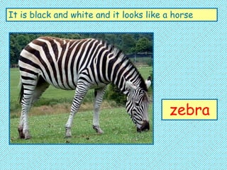 INTRO ANIMAL RIDDLES - GREAT ICEBREAKER FOR YOUR CLASS | PPT | Birds | Pets