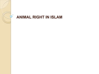 Animal right in islam | PPSX