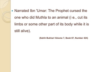 Animal right in islam | PPSX