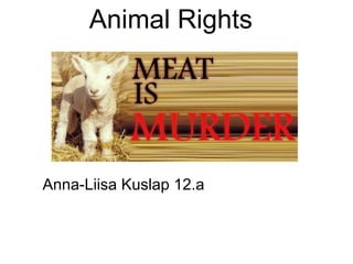 Animal Rights | PPT