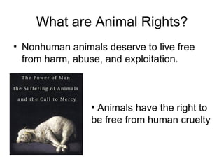 Animal Rights | PPT