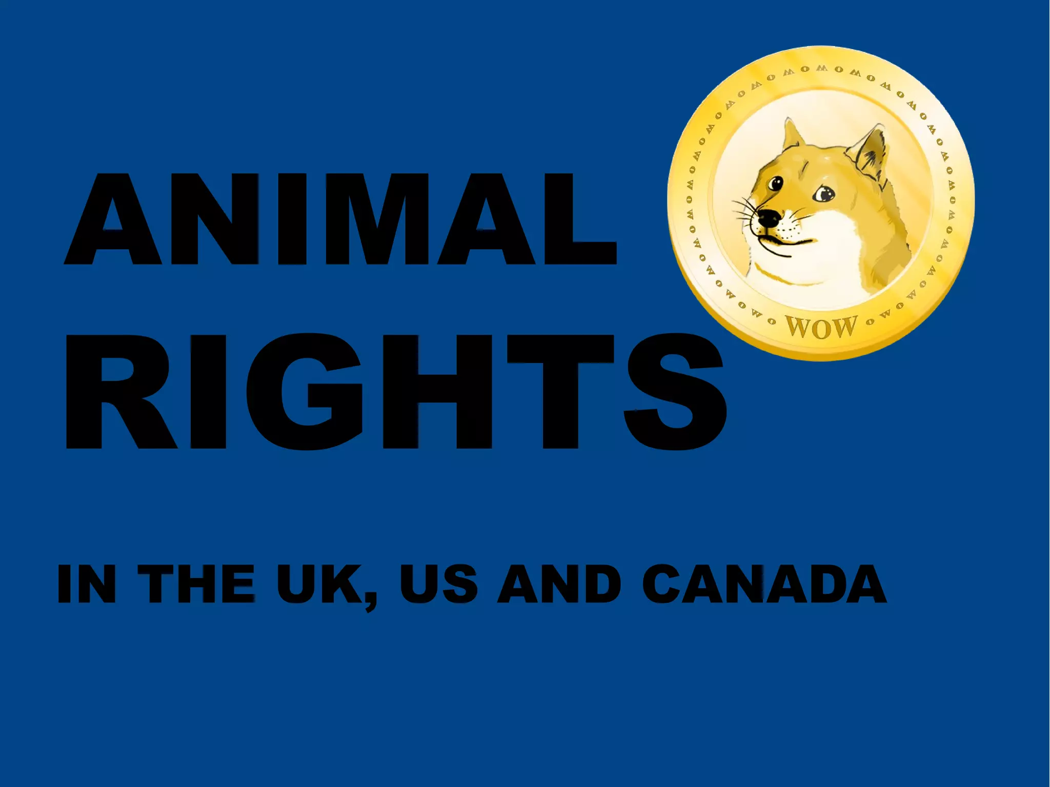 Animal rights | PPT