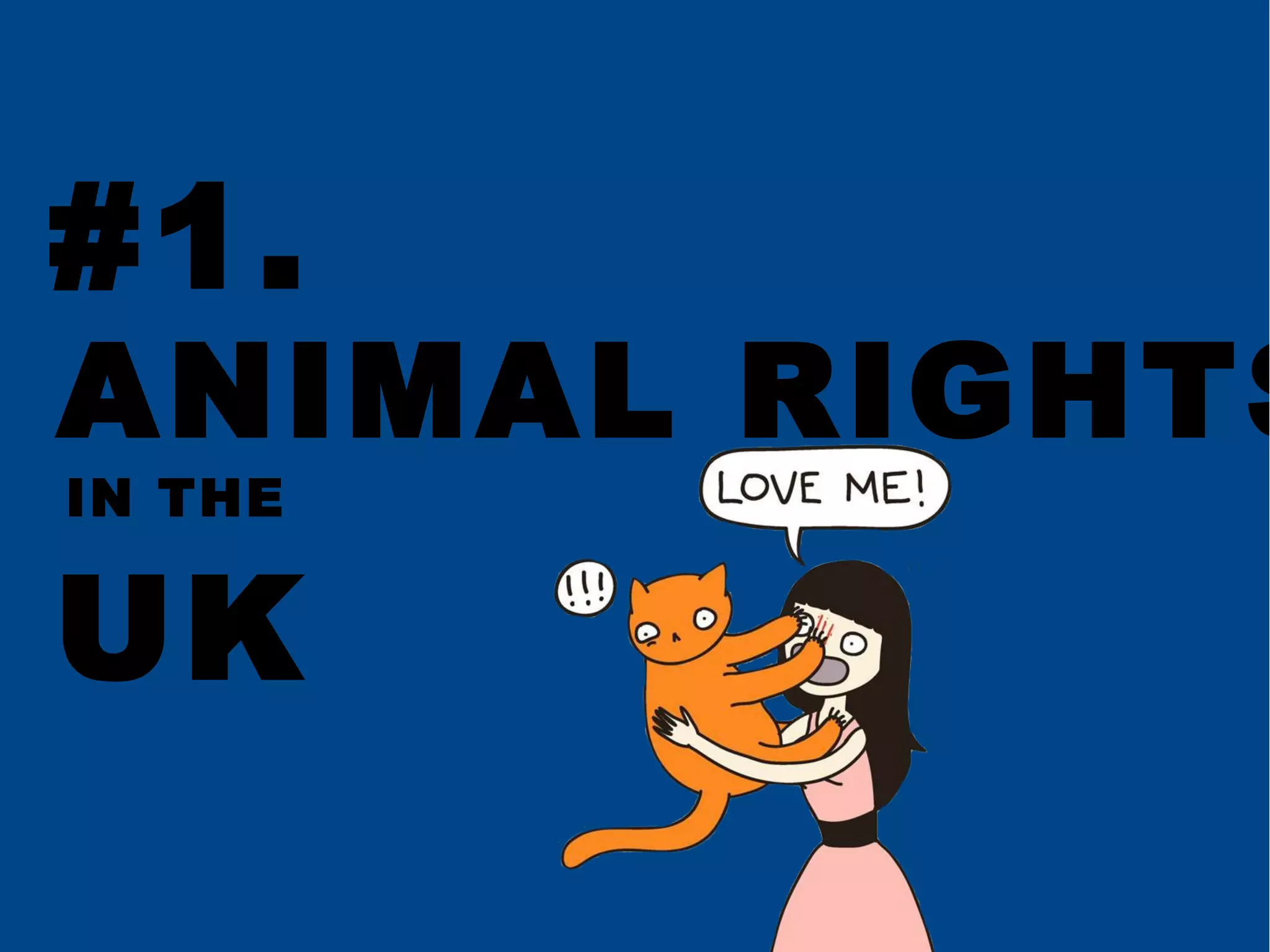 Animal rights | ODP