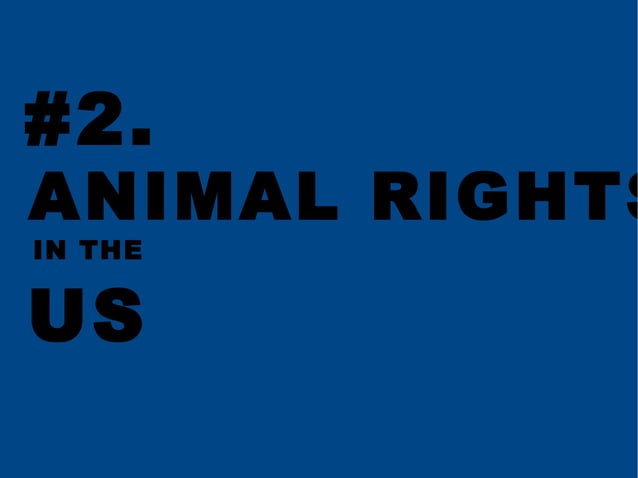 Animal rights | ODP