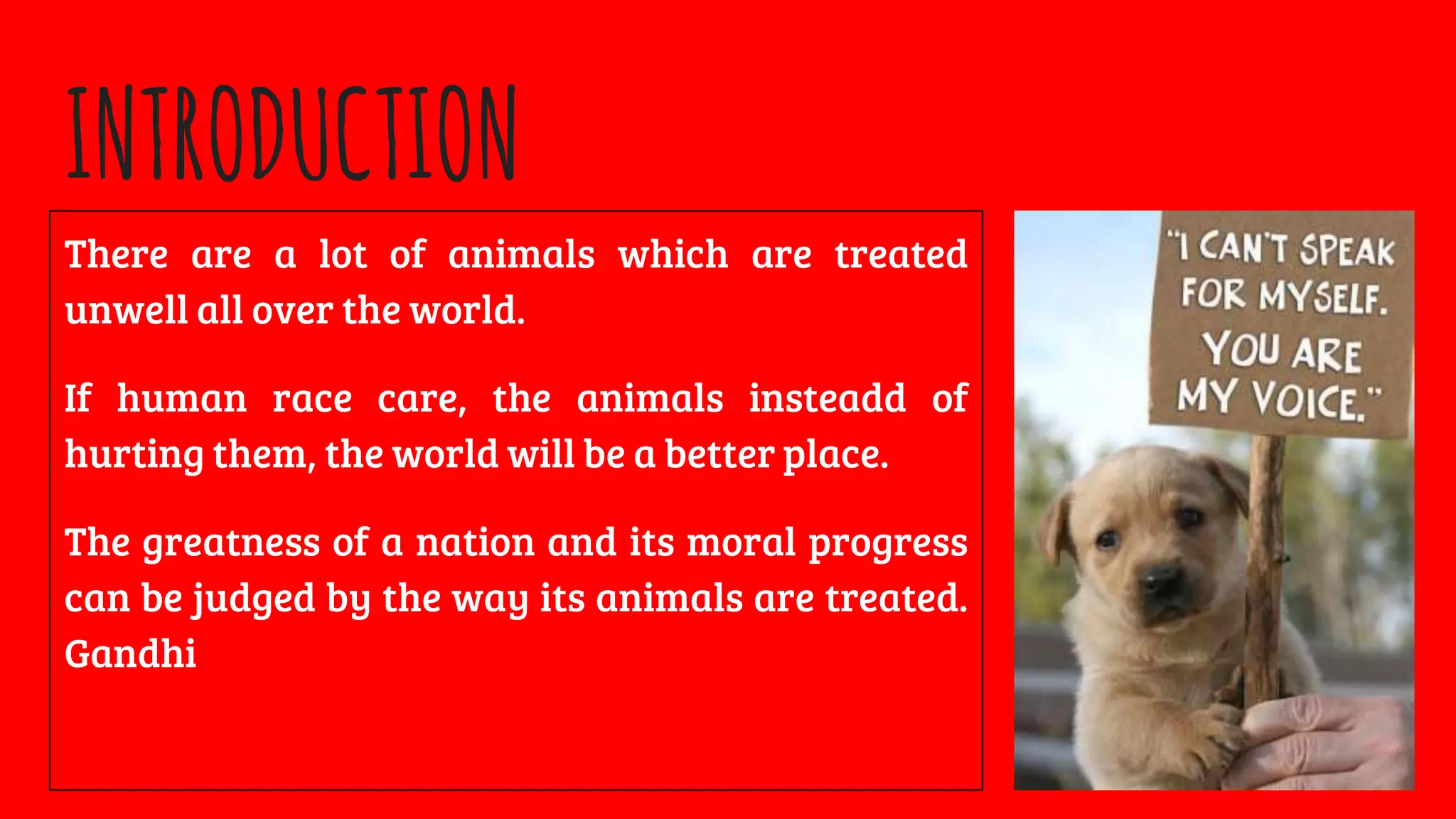 Animal rights | PPT