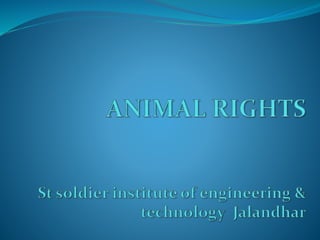 Animal rights | PPTX