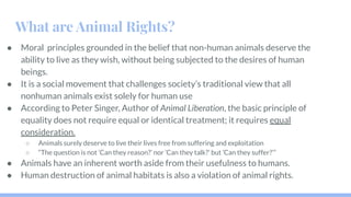 Animal rights | PDF