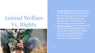 Animal rights | PDF