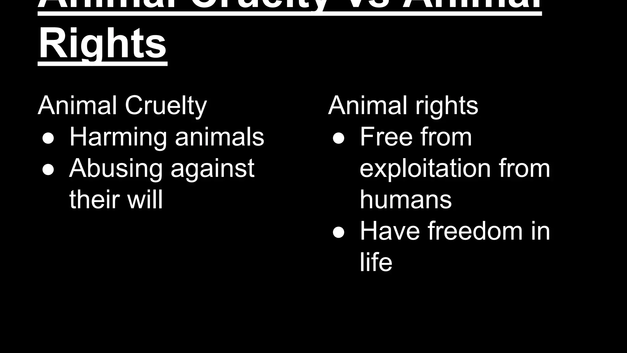 Animal rights critical thinking | PPT