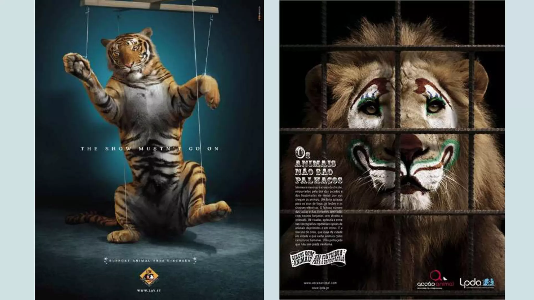 Animal rights social issue by karen | PPTX