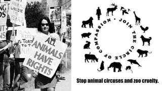 Animal rights social issue by karen | PPTX
