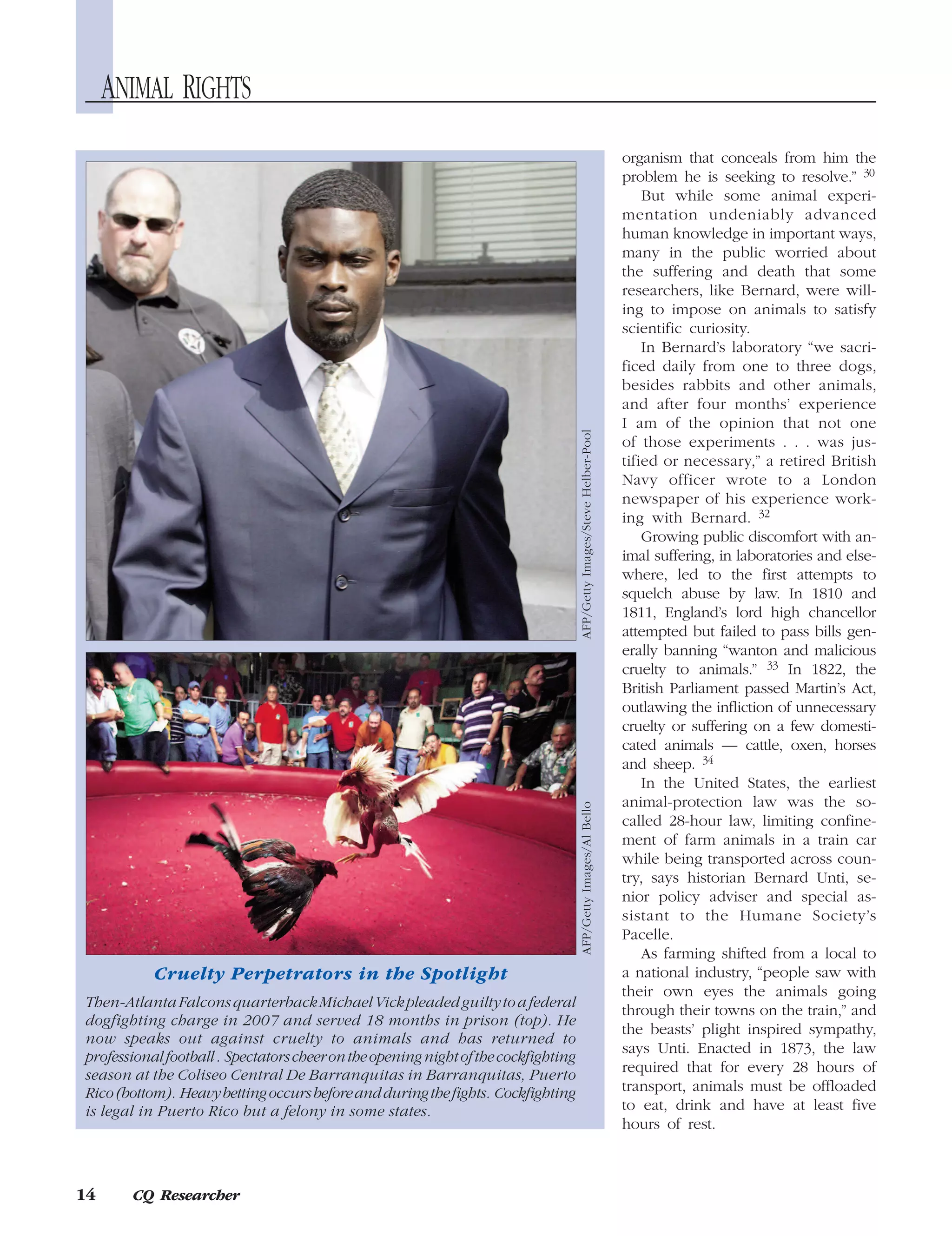 Animal Rights - Is the Treatment of Animals Improving? | PDF