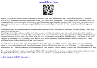 Animal Rights Essay | PPT