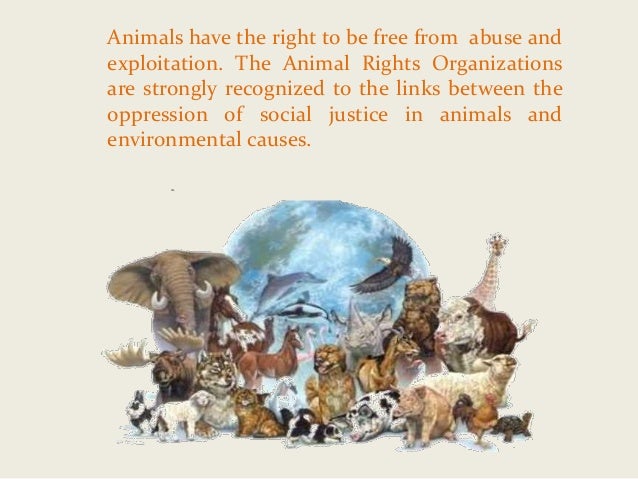 Animal Rights Organizations