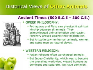 Animal Rights & Vegan Ethics 2012 | PPT