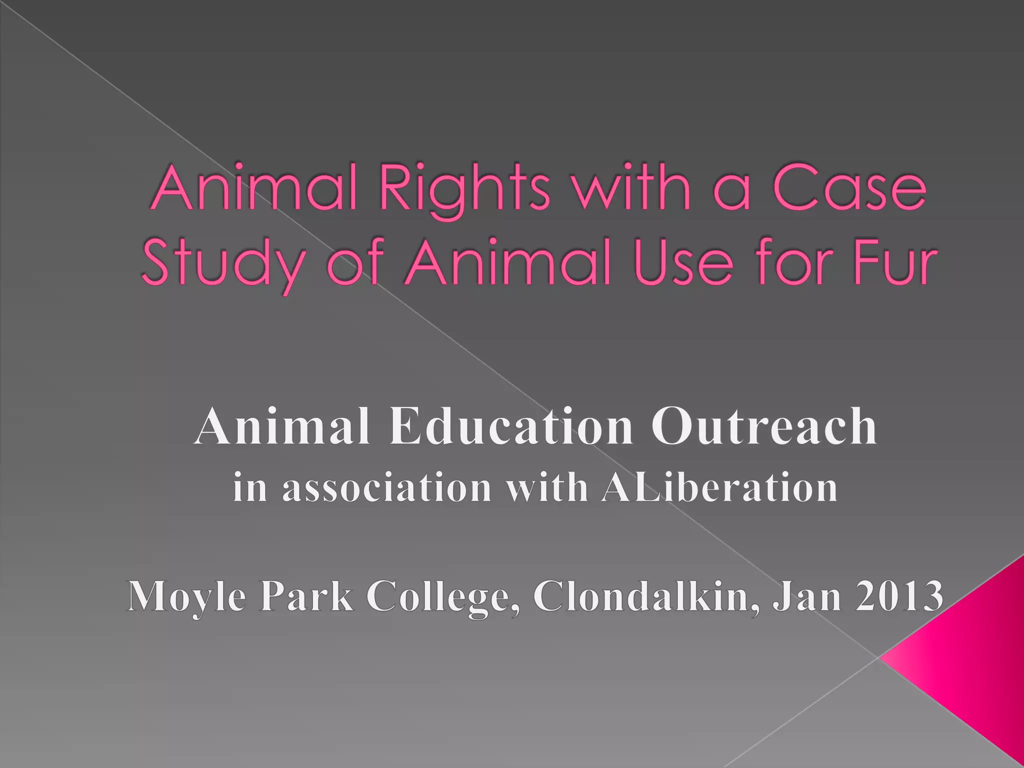 Animal rights with a case study of animal | PPT