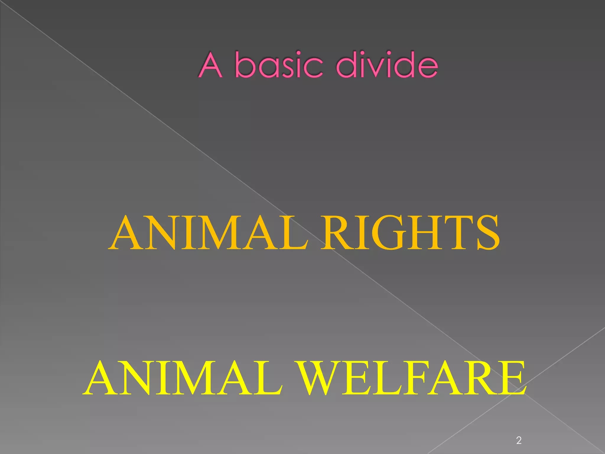 Animal rights with a case study of animal | PPT