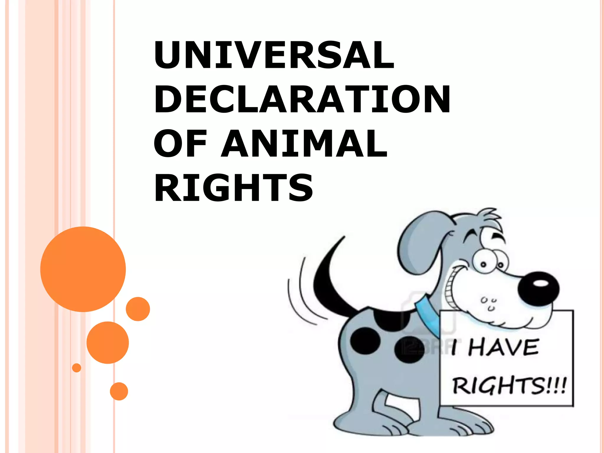 Animal rigths part 1 | PPTX